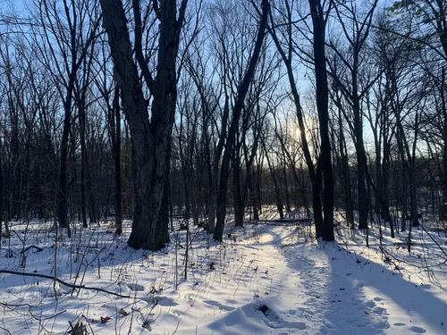 Best 10 Hiking Trails in Mittineague Park | AllTrails