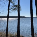 Harris Lake Peninsula Trail, North Carolina - 1,700 Reviews, Map ...