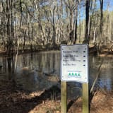 Harris Lake Peninsula Trail, North Carolina - 1,700 Reviews, Map ...