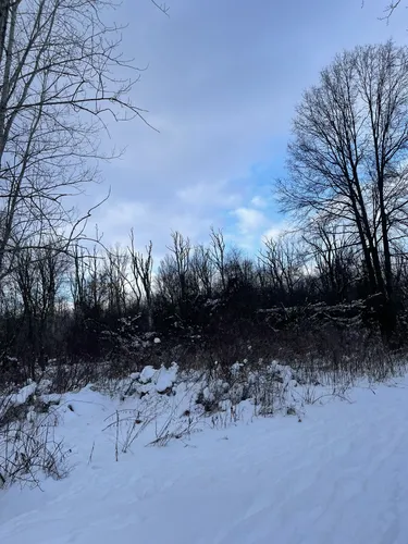 Wainfleet Bog Conservation Area: Die besten Routen zum Wandern | AllTrails