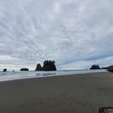 Second Beach, Washington - 1,613 Reviews, Map | AllTrails