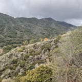 Murphy Ranch Trail, California - 3,555 Reviews, Map | AllTrails