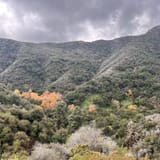 Murphy Ranch Trail, California - 3,555 Reviews, Map | AllTrails