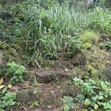 Waimea Valley Trail, Oahu, Hawaii - 1,514 Reviews, Map | AllTrails