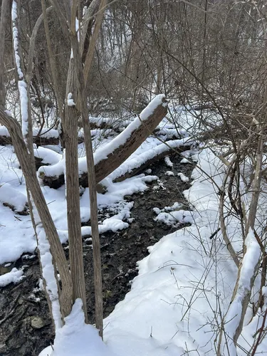 Best Hikes and Trails in Green Tree Nature Center | AllTrails