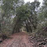 The Meadows Slough Trail, California - 449 Reviews, Map | AllTrails