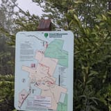 Goodspeed-Nattkemper Trail to Mount Hood Peak and Gunsight Lookout ...