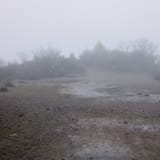 Goodspeed-Nattkemper Trail to Mount Hood Peak and Gunsight Lookout ...