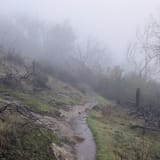 Goodspeed-Nattkemper Trail to Mount Hood Peak and Gunsight Lookout ...