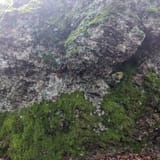 Goodspeed-Nattkemper Trail to Mount Hood Peak and Gunsight Lookout ...