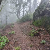 Goodspeed-Nattkemper Trail to Mount Hood Peak and Gunsight Lookout ...