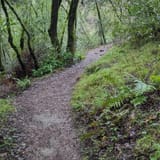 Goodspeed-Nattkemper Trail to Mount Hood Peak and Gunsight Lookout ...
