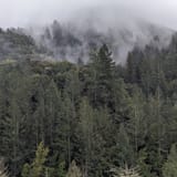 Goodspeed-Nattkemper Trail to Mount Hood Peak and Gunsight Lookout ...