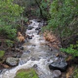 Goodspeed-Nattkemper Trail to Mount Hood Peak and Gunsight Lookout ...