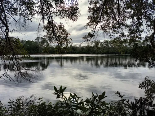 Best Hikes and Trails in Graham Swamp Conservation Area | AllTrails