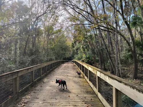 Best Hikes and Trails in Graham Swamp Conservation Area | AllTrails
