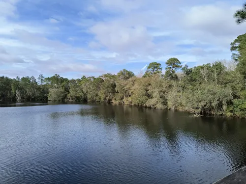 Best Hikes and Trails in Graham Swamp Conservation Area | AllTrails