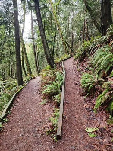 Best Bird Watching Trails in Mukilteo | AllTrails