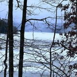 Tracy Ridge: Full Outer Loop, New York - 195 Reviews, Map | AllTrails