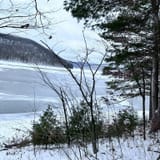 Tracy Ridge: Full Outer Loop, New York - 195 Reviews, Map | AllTrails