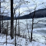 Tracy Ridge: Full Outer Loop, New York - 195 Reviews, Map | AllTrails