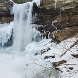 Greeter Falls Loop, Tennessee - 1,019 Reviews, Map | AllTrails