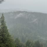 Amanda's Trail, Oregon - 507 Reviews, Map | AllTrails