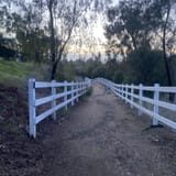 Lost Trail and Brea Dam Trail, California - 330 Reviews, Map | AllTrails