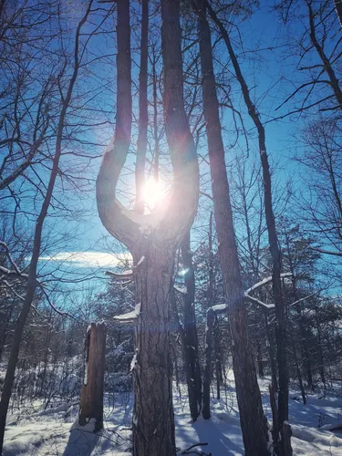 Best Hikes and Trails in Koeneman Lake Nature Preserve | AllTrails