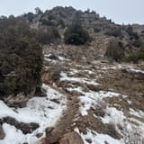 Mount Morrison Trail, Colorado - 5,354 Reviews, Map | AllTrails