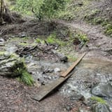 Canyon and Pony Gate Loop, California - 568 Reviews, Map | AllTrails