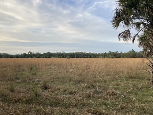 Best Hikes and Trails in Walton Ranch | AllTrails