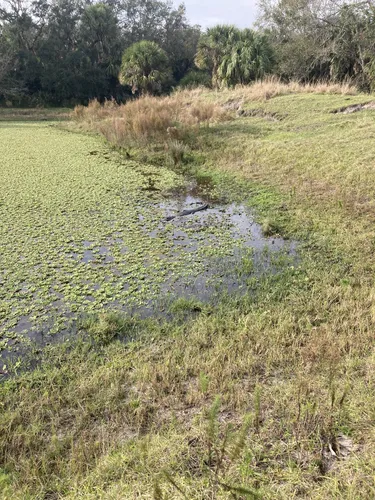 Best Hikes and Trails in Walton Ranch | AllTrails