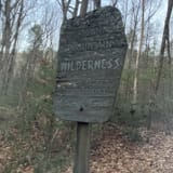 Bear Hair Gap Trail, Georgia - 1,791 Reviews, Map | AllTrails
