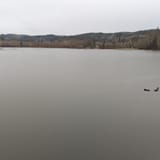 Friend's Landing Trail, Washington - 153 Reviews, Map | AllTrails