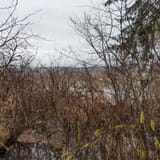 Friend's Landing Trail, Washington - 153 Reviews, Map | AllTrails