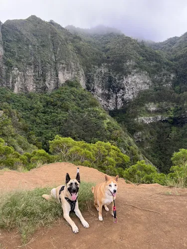 Best Hikes and Trails in Kunia | AllTrails