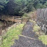 Clatsop Loop Trail from Indian Beach, Oregon - 2,490 Reviews, Map ...