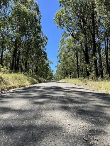 Best Hikes and Trails in Wandong Regional Park | AllTrails