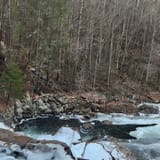 Beech Bottom Trail, Tennessee - 406 Reviews, Map | AllTrails