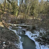 Tryon Creek Triple Bridge Loop, Oregon - 1,426 Reviews, Map | AllTrails