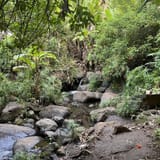 Makiki Valley Loop Trail, Oahu, Hawaii - 5,485 Reviews, Map | AllTrails