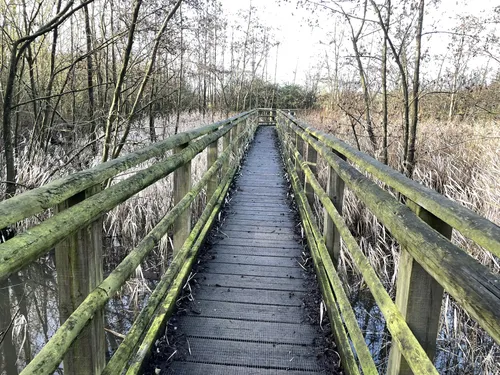 Best Walking Trails in Wickford | AllTrails