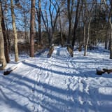 Cash Lake Loop Trail, Maryland - 1,104 Reviews, Map | AllTrails