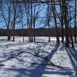 Cash Lake Loop Trail, Maryland - 1,104 Reviews, Map | AllTrails