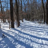 Cash Lake Loop Trail, Maryland - 1,104 Reviews, Map | AllTrails