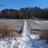 Cash Lake Loop Trail, Maryland - 1,104 Reviews, Map | AllTrails