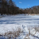 Cash Lake Loop Trail, Maryland - 1,104 Reviews, Map | AllTrails
