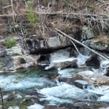 Beech Bottom Trail, Tennessee - 406 Reviews, Map | AllTrails