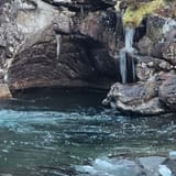 Beech Bottom Trail, Tennessee - 406 Reviews, Map | AllTrails